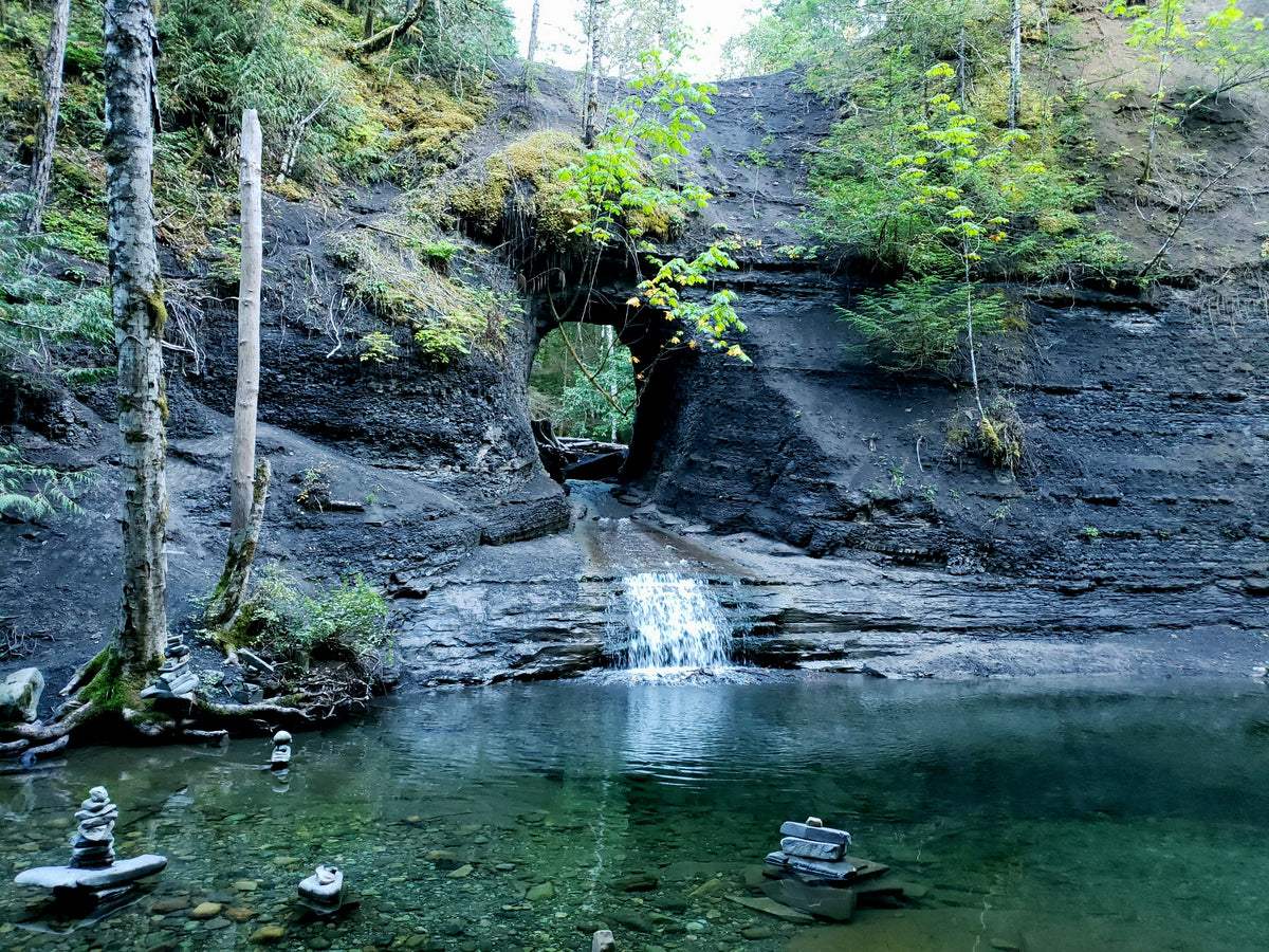 Lifted Peacock Designs – Wise Earth